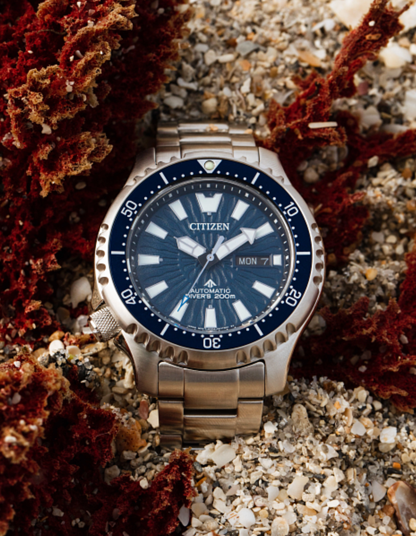 Best Affordable Watches | Luxury Brands Under $800 – Nimble Made